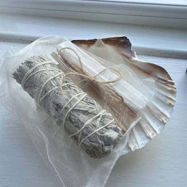 Wholesale Large 14cm Scallop Shell, Washed White Smudge Bowl, Smudge ...