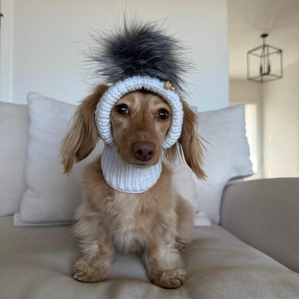 Dog Designer Clothes, Cable Knitted Dog Sweater , Dog Dresses for Small ...