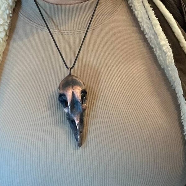 Boa Constrictor Skull - Resin Life-like Replica - Etsy