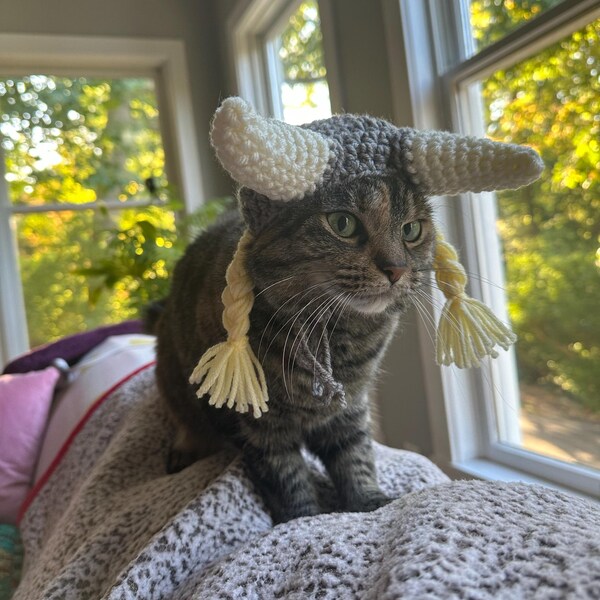 Brunhilde, Vikings, Valkyries, Wagner Opera, Hats for Cats, Pet Hats ...