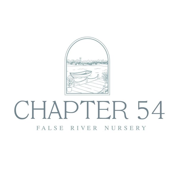 Custom Hand Drawing Logo Design, Minimalist Logo, Modern Logo ...