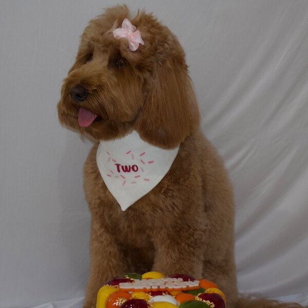 Personalized Dog Bandana Birthday Girl Bandanna for 1st Birthday ...