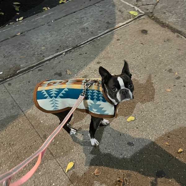 Red & Black Pendleton Wool Dog Coat - Featuring Exclusive D-ring ...