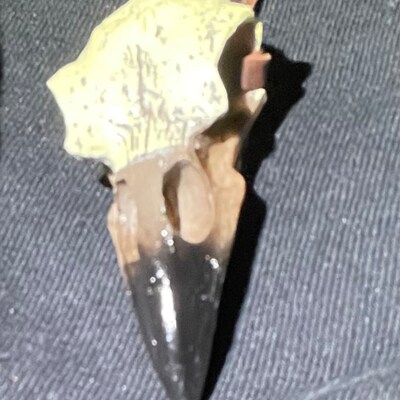 Cthulhu Stone Idol Newspaper & Crate Lovecraft Concrete Statue Mythos ...