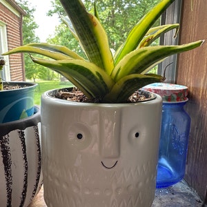 Plant Heat Pack - Etsy