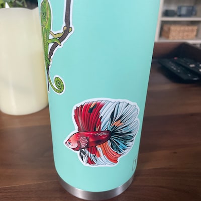 Grumpy Veiltail Betta Fish Sticker Red, Blue, Green glossy Vinyl - Etsy