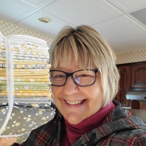 Galactic Explosion by Nancy Rink Design 12 Part BOM Quilt Pattern - Etsy