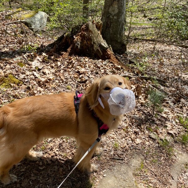 Smuzzle: A Soft Muzzle That Lets Your Dog Smile - Etsy