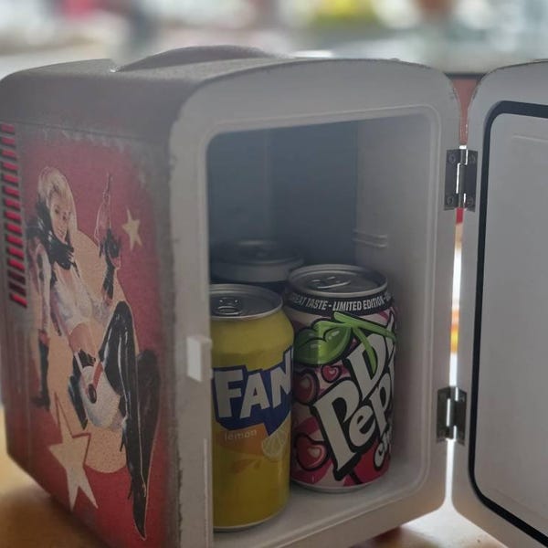 Fallout Nuka Cola Mini Fridge: Classic Edition - Etsy