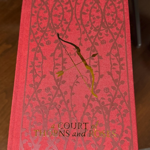 A Court of Thorns and Roses Hardback Cover for Paperback Books - Hand ...