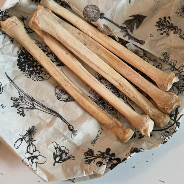 Osteomancy Bone Throwing Set With Over 25 Pieces - Etsy