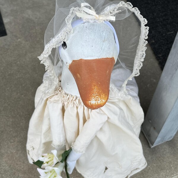 Best Dressed Goose Geese Clothes Outfit 25-27 LARGE Back to School ...