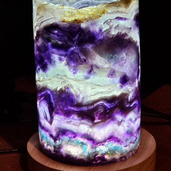 Awesome Jasper T-rex Skull, With the Coolest Patterns - Etsy