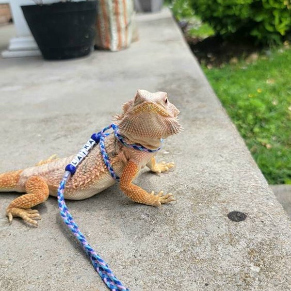 Bearded Dragons Harness/ Leash - Etsy