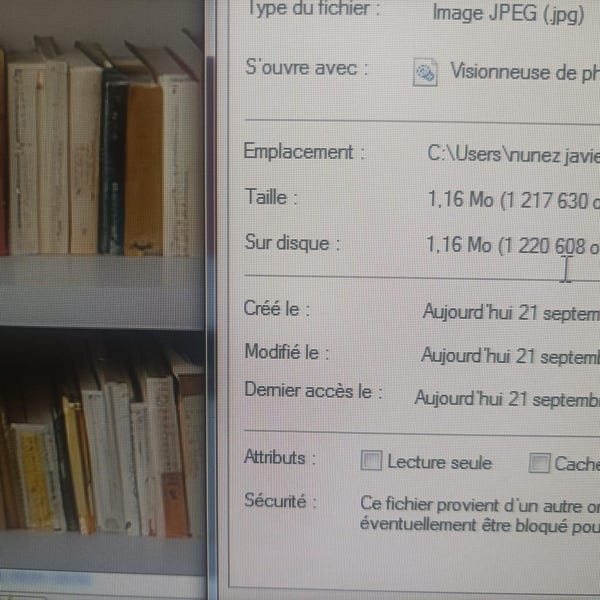 Field of Spring Flowers Zoom Background, MS Teams, Webex, Skype ...