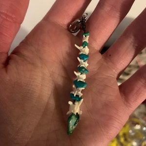 100 Real Rattlesnake Vertebrae Vertebrea Bone Gothic Voodoo - Etsy