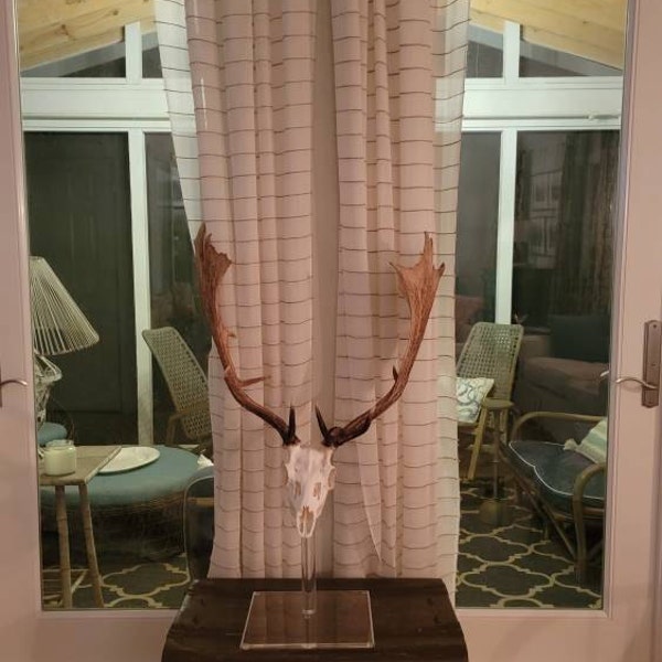 European Euro Mount Whitetail Deer Antler Display Clear Acrylic Stand ...