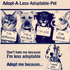 SP 487 Wax Strahl Pitsch 487 Candle Wax 5 LB Pellet/bead Form Add to ...