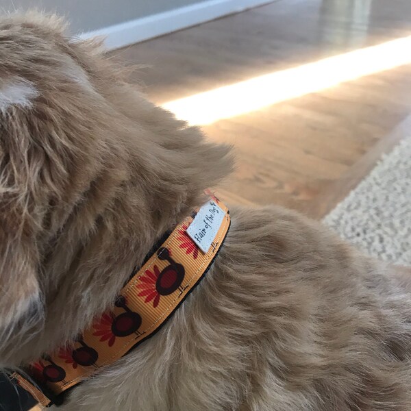 Turkey Trot Dog Collar,handmade Dog Collar,thanksgiving Dog Collar ...