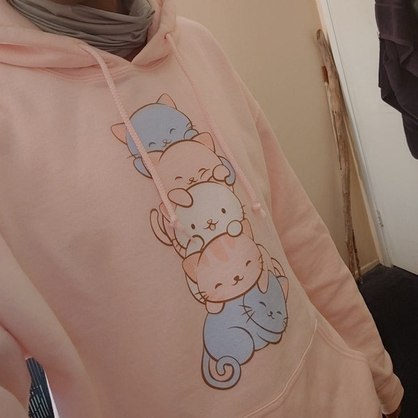 Transgender Pride Flag Kawaii Cat Hoodie / LGBTQ Subtle Pride Cute ...