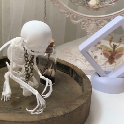 Tooth Fairy Skeleton 3D Print Taxidermy - Etsy