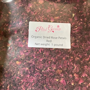 Buy Silk Rose Petals, 1000 Petals, Neutral Shades Online in India - Etsy