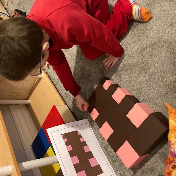 Living and Non-living Sorting Cards & Control Chart - Science ...