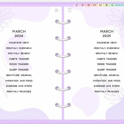 Onenote Digital Planner Templates Finance Template Finance Inserts ...