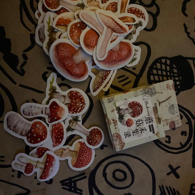 Mushroom Sticker Set, Red Mushroom Caps, Fungi Sticker, Fungus Stickers ...