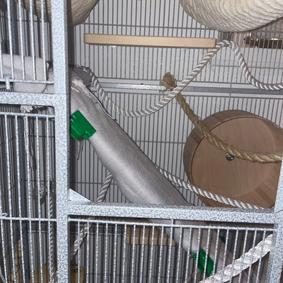 Nova Activity Rat Toy Perch for Cage Natural Cage Accessories - Etsy