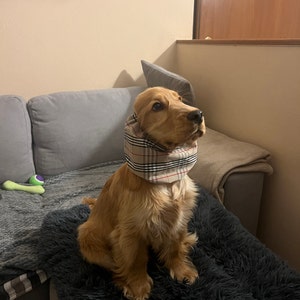 Waterproof Thick Dog Snood , Swimming Cap for Dog , Dog Hat for Snow - Etsy