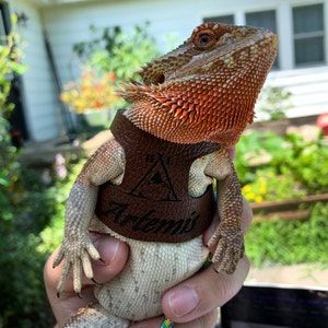 Bearded Dragon Hat Lizard Costume Reptile Hat Crochet - Etsy