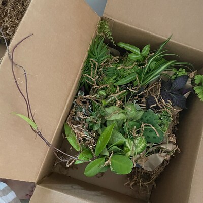 Plant Heat Pack - Etsy