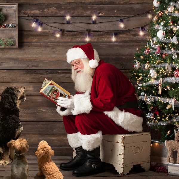 Santa Digital Backdrop, Christmas Scene, Christmas Digital Download ...