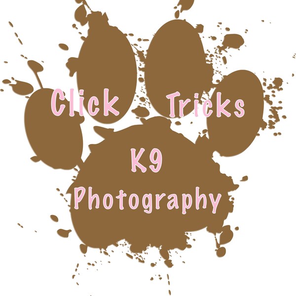 Dog Paw Print Fonts - Real Custom Typeface Installable Font for Your ...