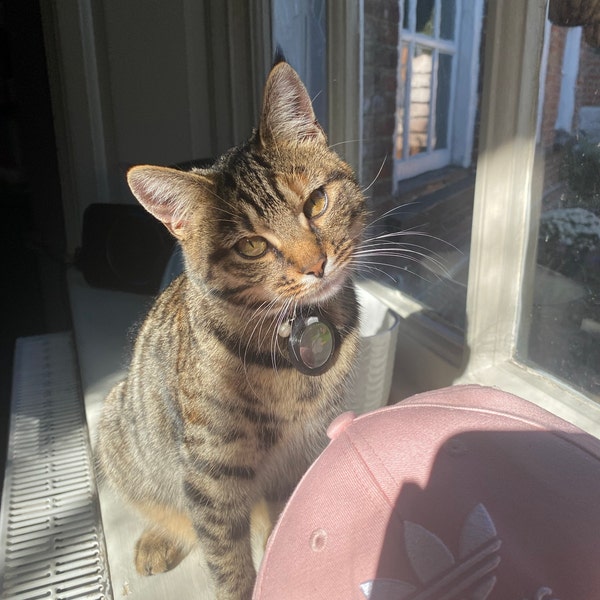 Track Saw Square - JR Rail Square Evolution for Track and Plunge Saws ...