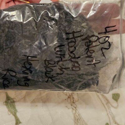 Baphomet Incense Holder With Bewitching Incense Sticks and Varied Cones ...