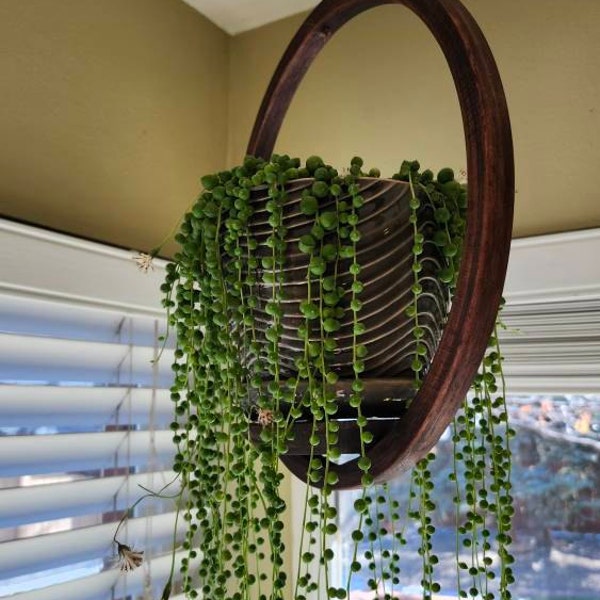 Small Teardrop Cubby | Plant Shelf | Wooden Wall Shelf | Wall Hanging ...