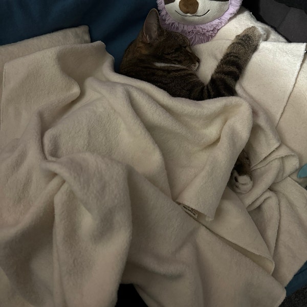 Nido Cat Bed Covers - Etsy