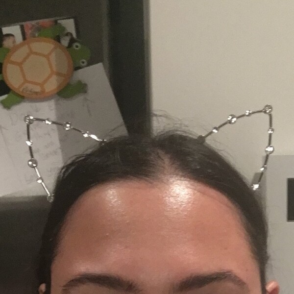 Rose Gold or Silver Crystal Cat Ears Headband, Cat Ears, Ears Headband ...