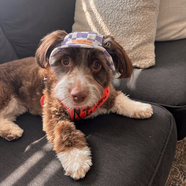 Corduroy Dog Hat Bucket Hat Puppy Hat Dog Visor Sun Protection Cap ...