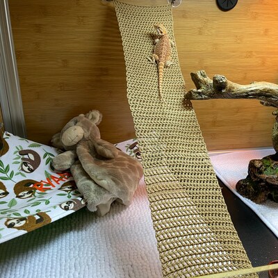 Colorful Reptile Hammock Reptile Lounger Reptile Swing Hammocks for ...