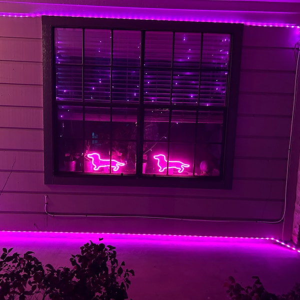 Dog LED Light, Dog Neon Sign, USB Mini Lamp , Neon Bar Sign , Custom ...