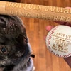 Personalized Suit up Baseball or Bat Ring Bearer Gift Proposal Gift ...