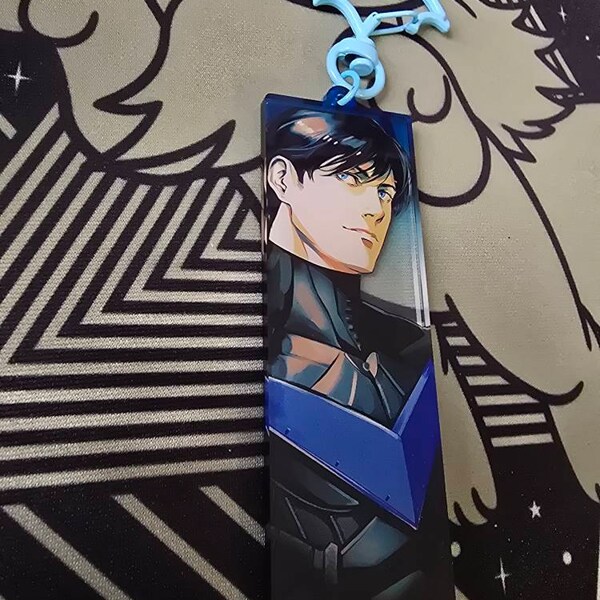 Beast World Red Hood and Nightwing Sticker Sheets and Holo Acrylic ...