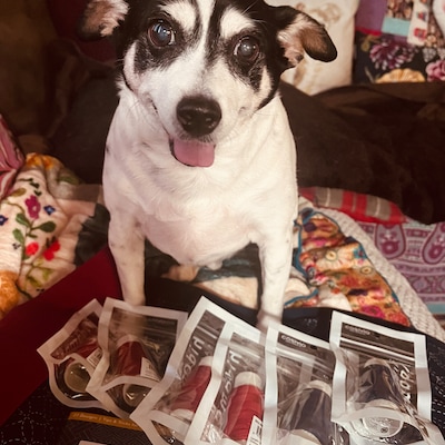 Backslash Quilt Sewing Pattern PAPER PATTERN Designed by Robin Pickens ...