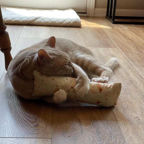 Mini Canvas Crinkle Cat Kickers | Two Pack | 8" Long, Stuffed With 100 ...