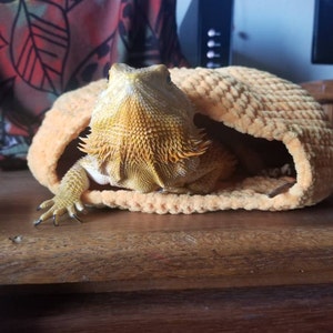 Bearded Dragon Hide, Crocheted Reptile House, Soft Bed for Pets, Lizard ...