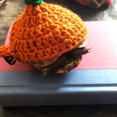 Pumpkin Halloween Tortoise Sweater Turtle Costume Pet - Etsy