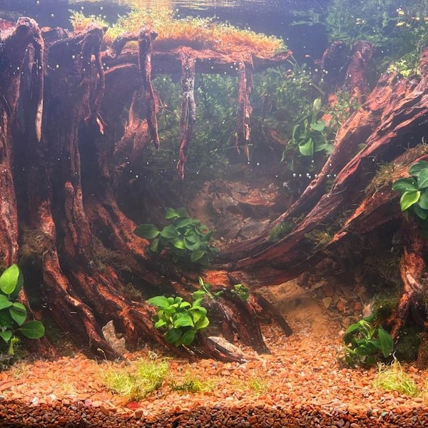 Aquarium Driftwood Centerpiece Aquascape Hardscape Arch Fish Tank ...